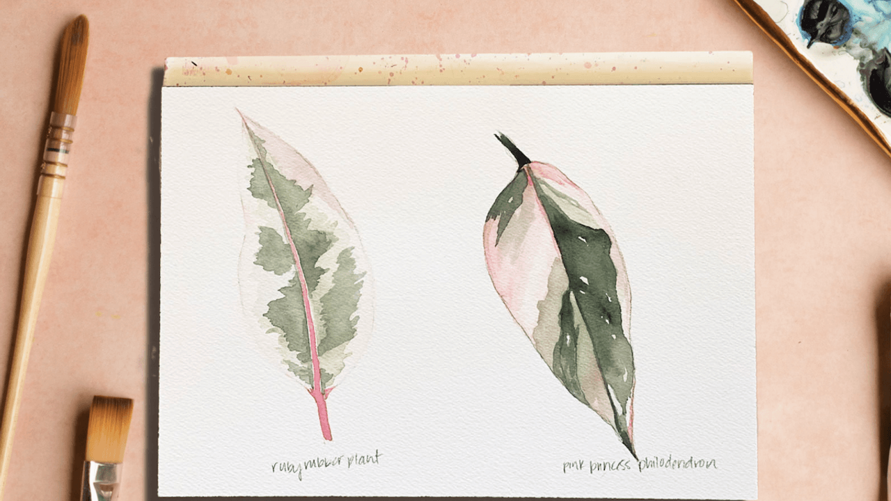 Paint Your Own Variegated Plant Portrait!