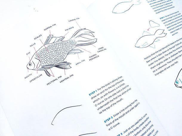 Peggy Dean's Guide to Nature Drawing & Watercolor