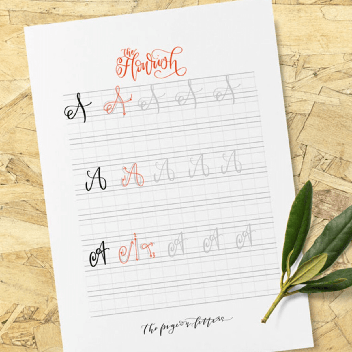 Lettering Practice Sheets - 3 Ways to Flourish – The Pigeon Letters