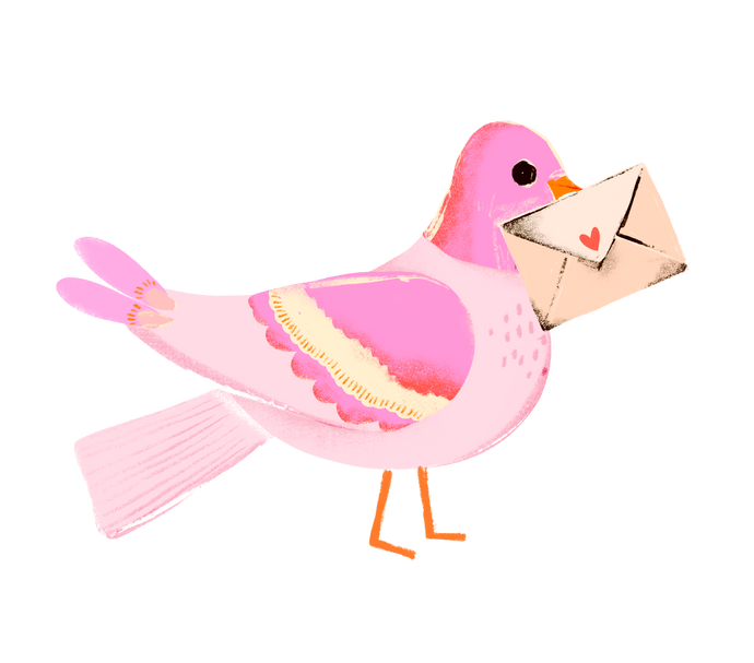 About The Pigeon Letters