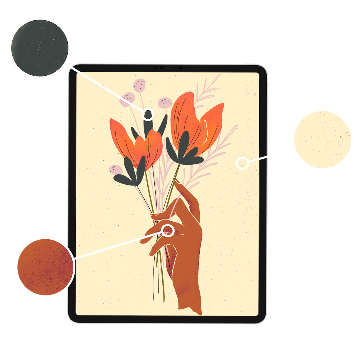 Procreate Color Palettes