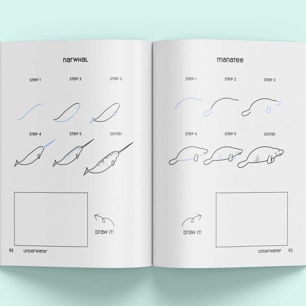 Animal Line Drawing by Peggy Dean – The Pigeon Letters